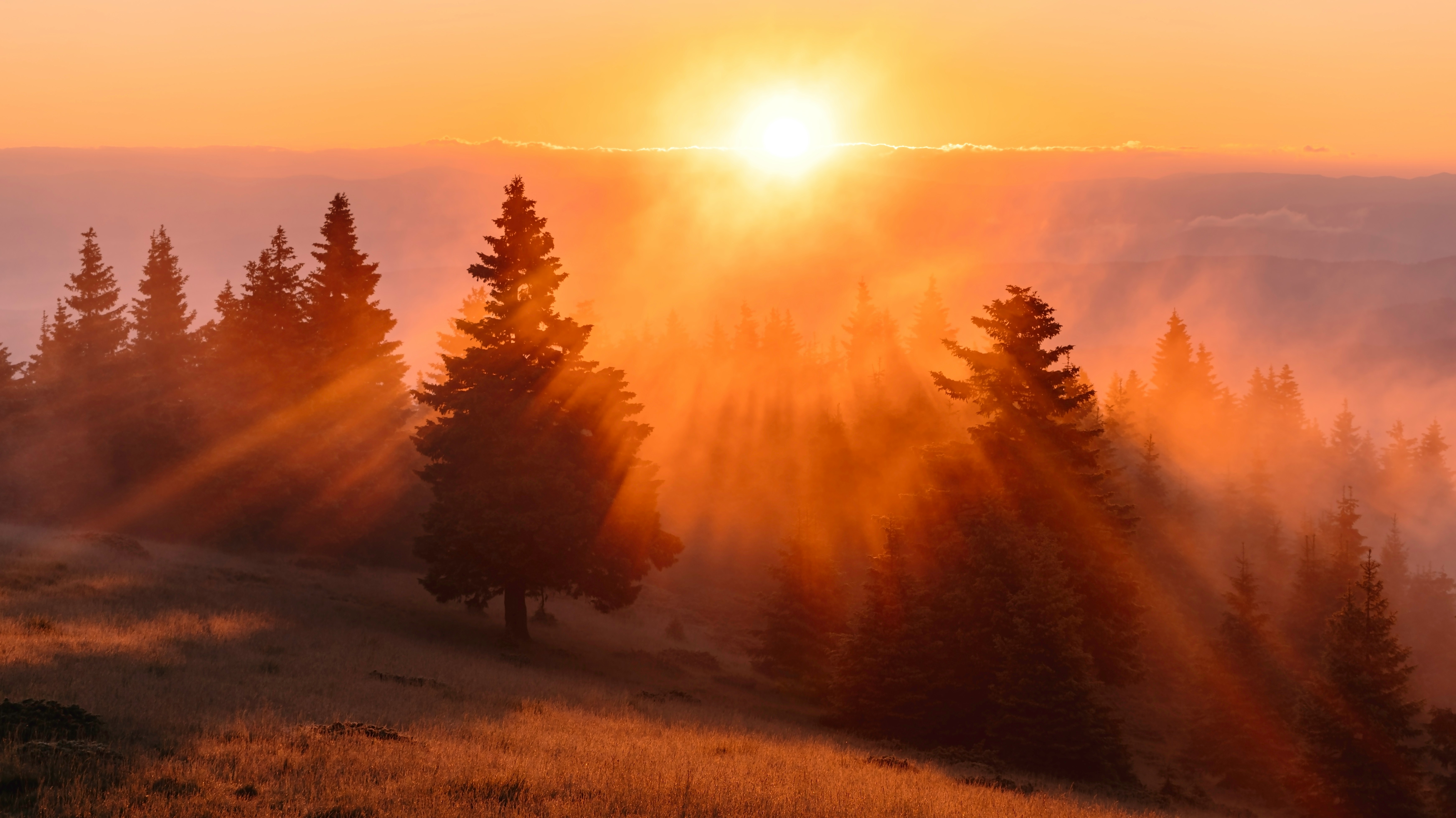 Daybreak Devotional