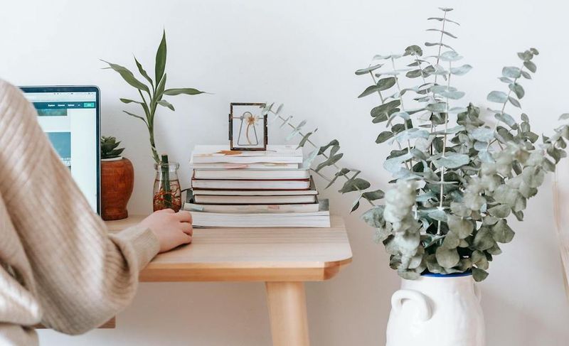 Is Stepful Accredited? (Answered)