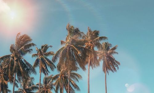 RMA vs CMA vs CCMA: Difference Between These Certifications