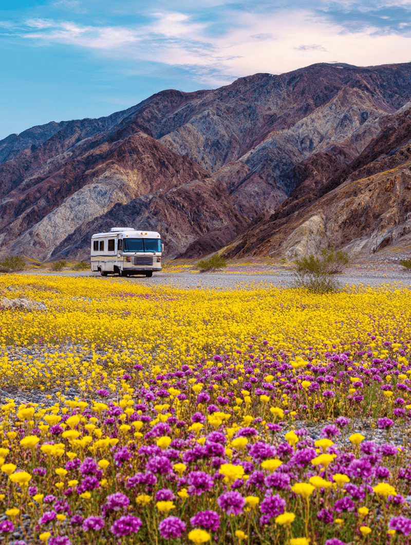 California Desert Guide to Camping Reservations