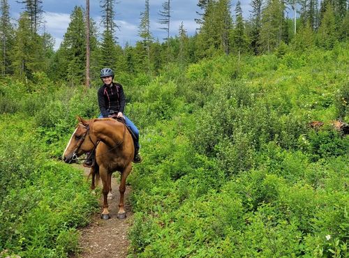 Travel for free by taking care of people's animals | Hooves Around the ...