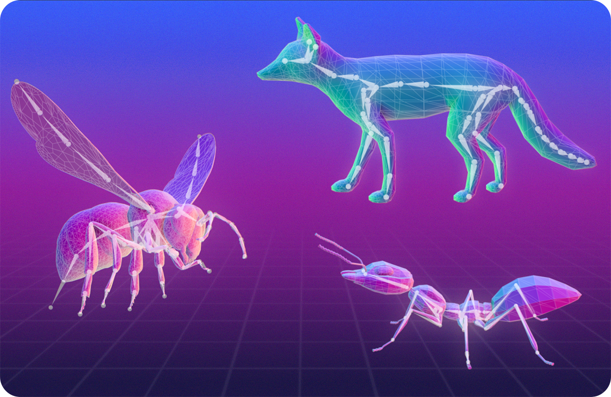 3D Animation and Automated Rigging | Everything Universe