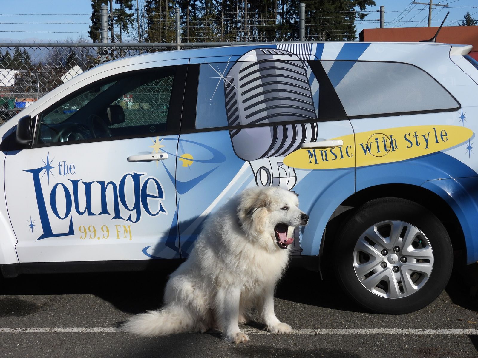 Pattison Media | Radio Stations - The Lounge 99.9