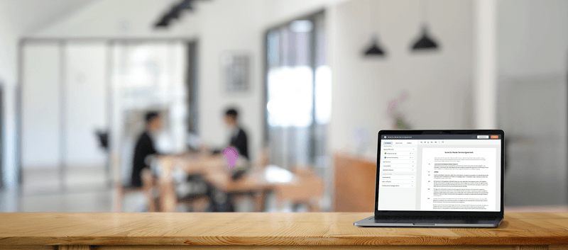 Contract Negotiation Playbook Template in Word