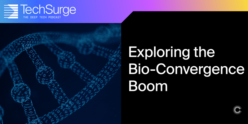 Celesta - Michael Marks