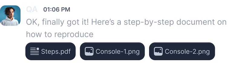 Fast & Effective Bug Reporting Tool | Bird Eats Bug