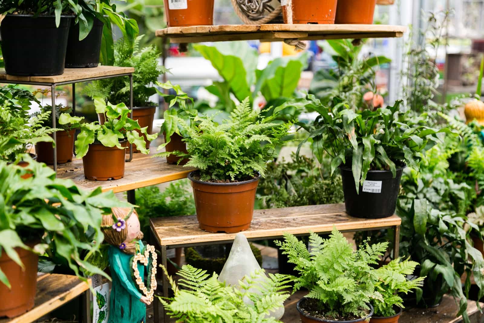 Locations - East Ridge - Elder's Ace Hardware