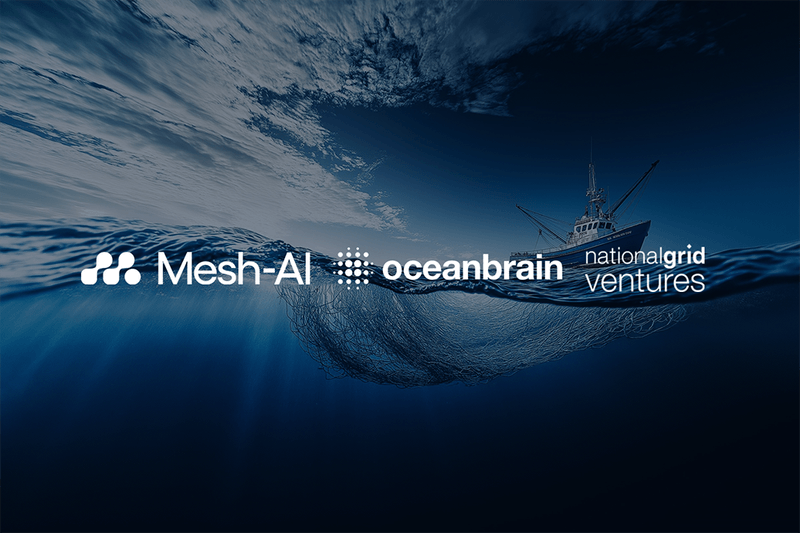 Mesh-AI | Unleash Business Value with Data, ML and AI