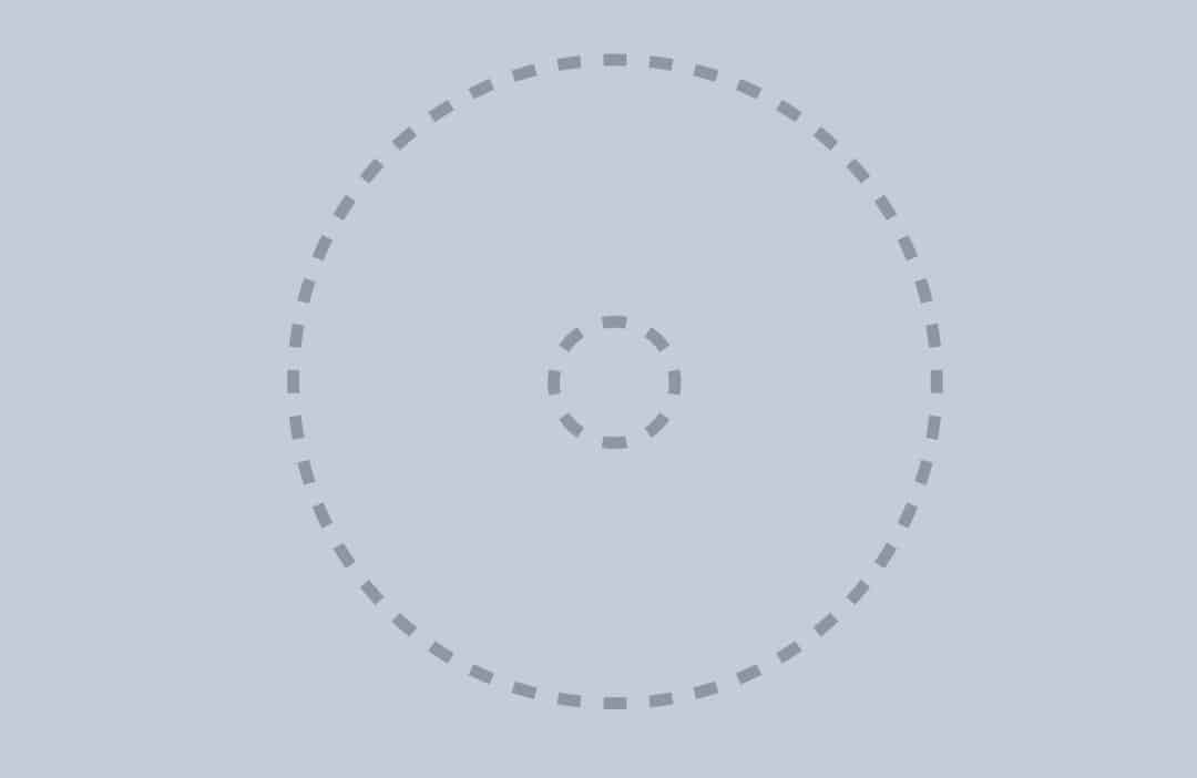 How to write a bug report effectively: examples and templates | Bug ...