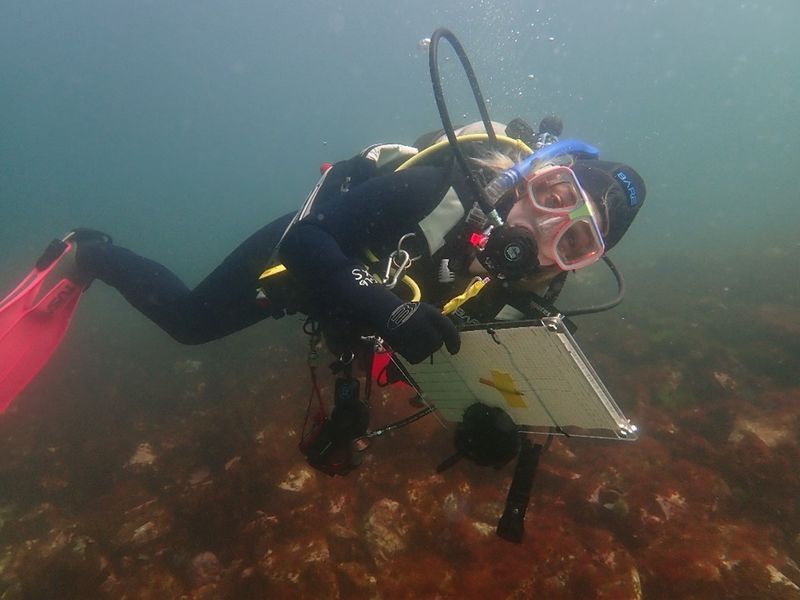 News | Ocean Frontier Institute