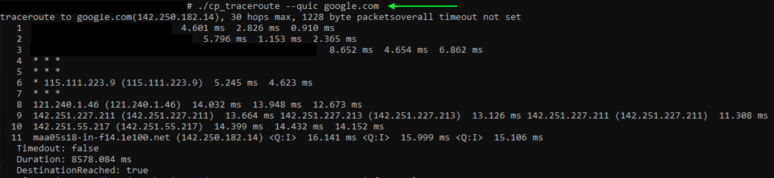 Windows 11: Run a better traceroute