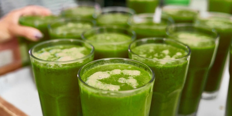 Juice Master Retreats