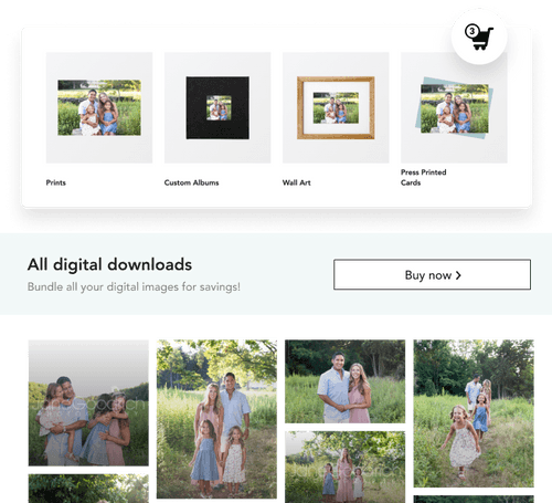 Gorgeous Client Galleries | Professional Photographer Client Galleries ...