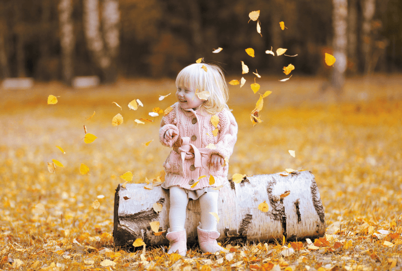 Ideas on how to get more photography clients for Fall