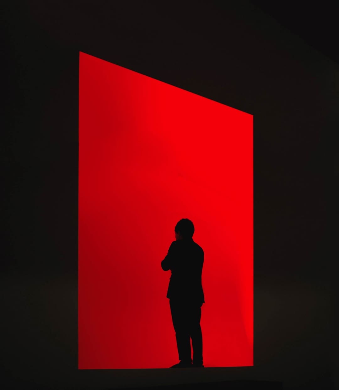 Realmotion™ - Beyond Pixels