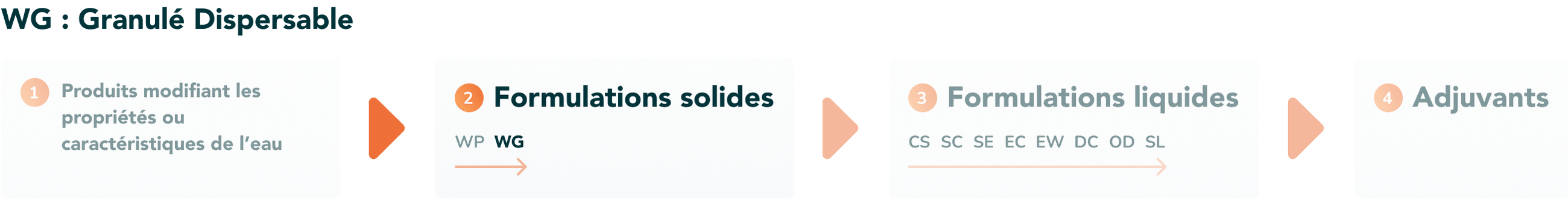 BELEM 0.8 MG - INSECTICIDE : Fiche produit - Alvie