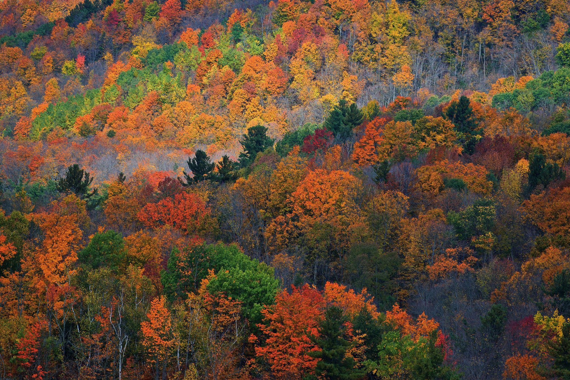 Visit Caledon | Homepage