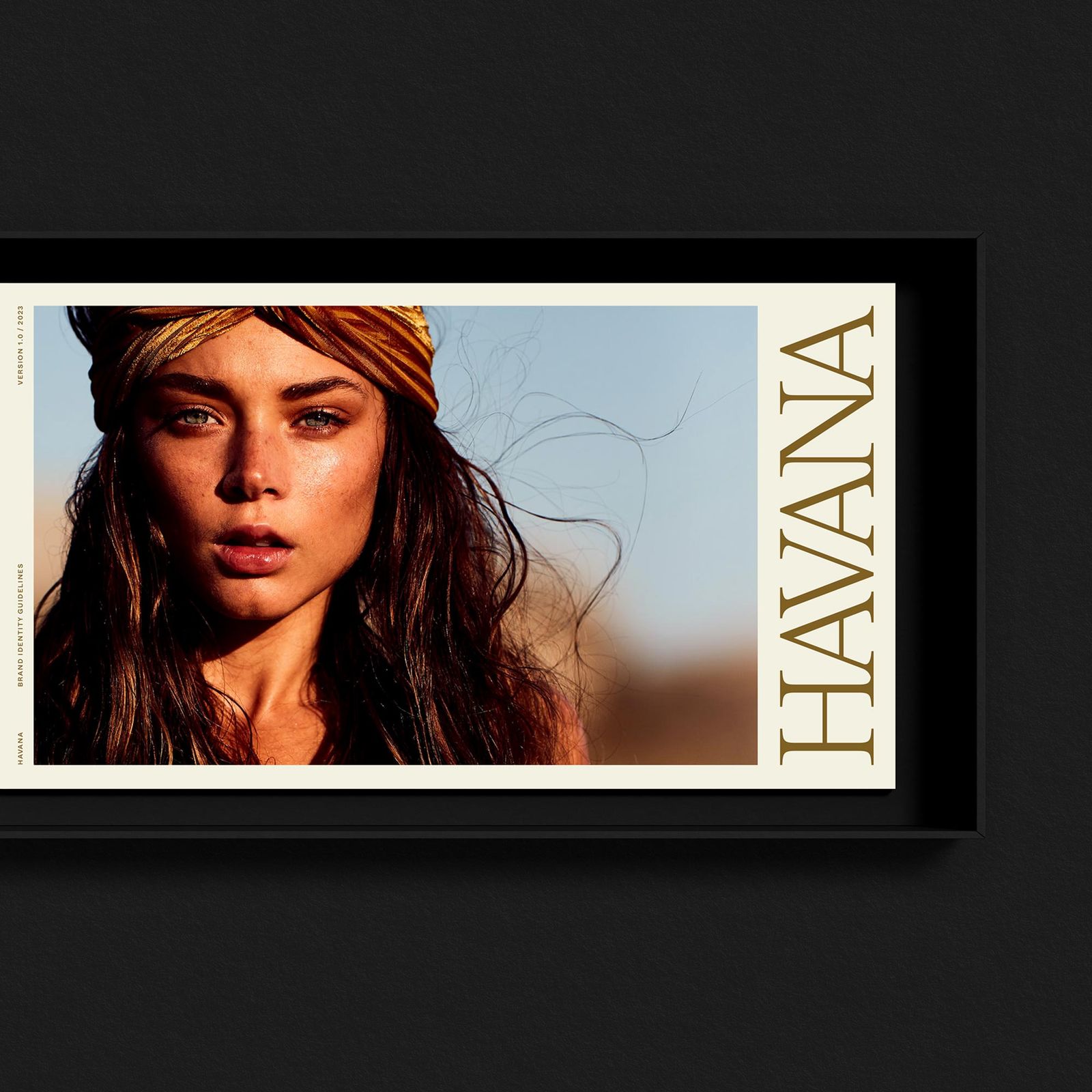 Havana Brand Guidelines — Made by Circular — Adobe brand templates for ...