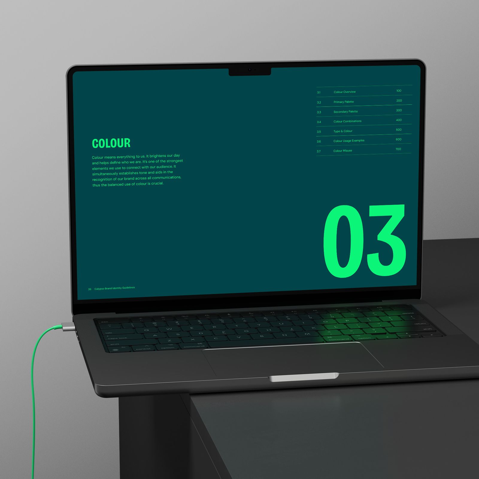 Calypso Brand Guidelines — Made by Circular — Adobe brand templates for ...