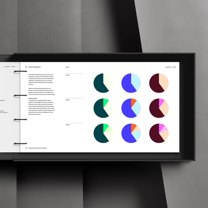 Calypso Brand Guidelines — Made by Circular — Adobe brand templates for ...