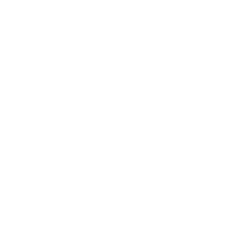 Lightspeed Connect | Enterprise VoIP Phone System