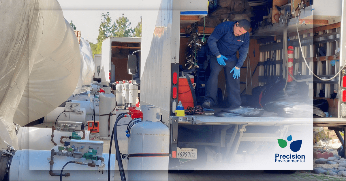 Heat Treatment for Termites | Precision Environmental