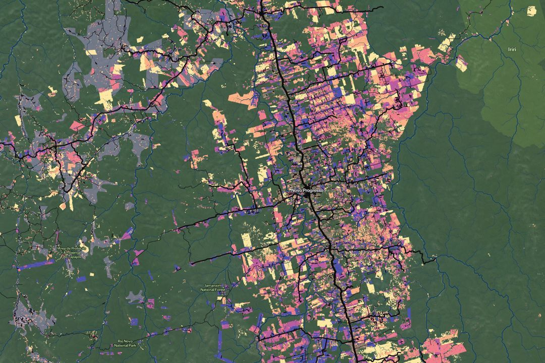Cloud-Native GIS Software & Online Mapping Platform | Felt