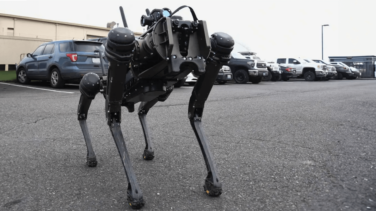 Home | Philadelphia | Ghost Robotics