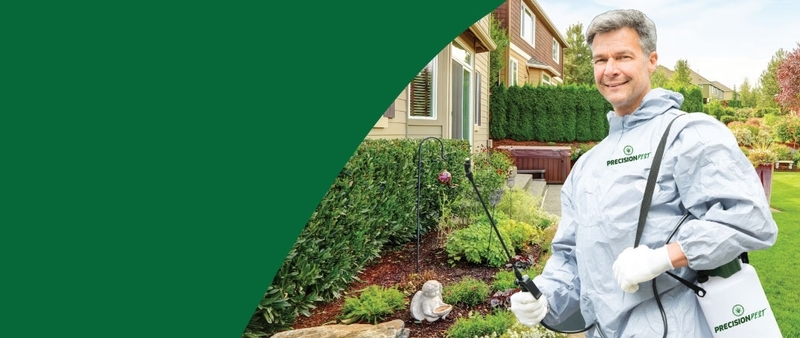 Integrated Pest Management: Precision Pest Control's Advanced Approach