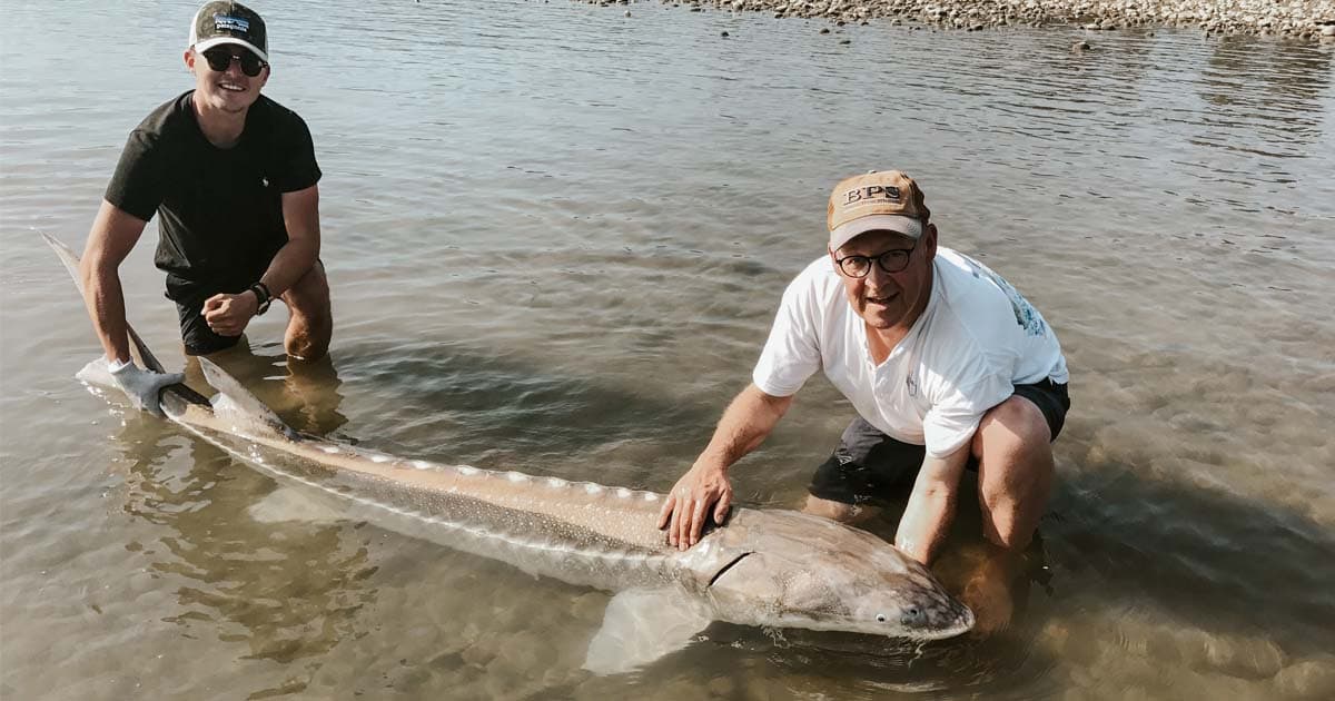 Sturgeon Fishing Tours in BC | Fraser River Lodge