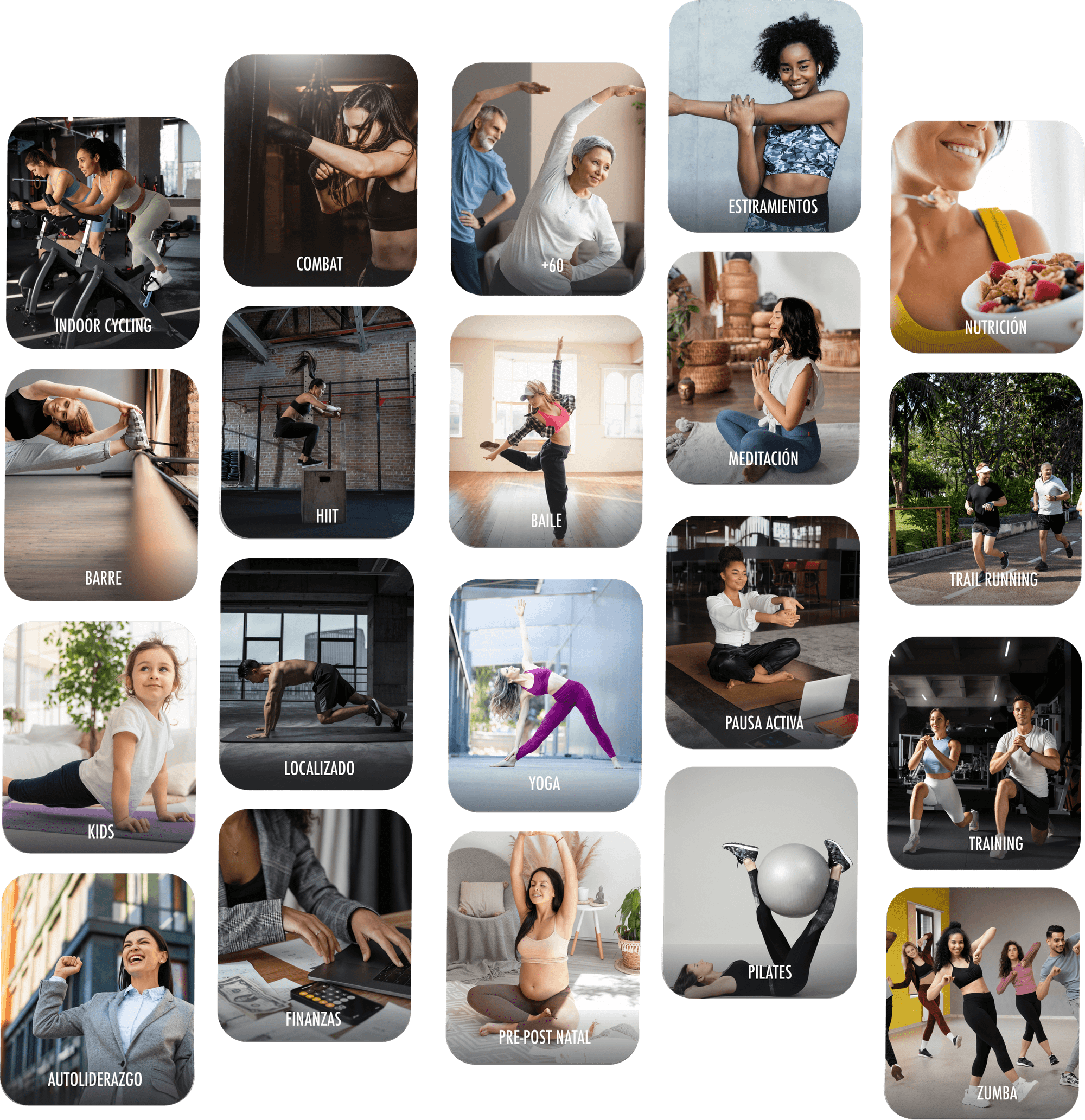 Hanu Fit - Tu cuerpo y mente siempre primero