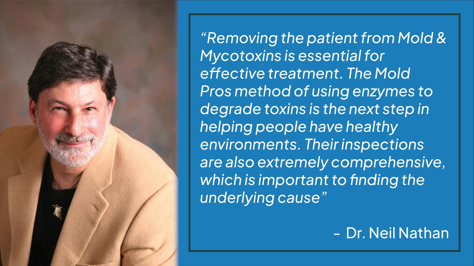 Home [www.themoldpros.com]