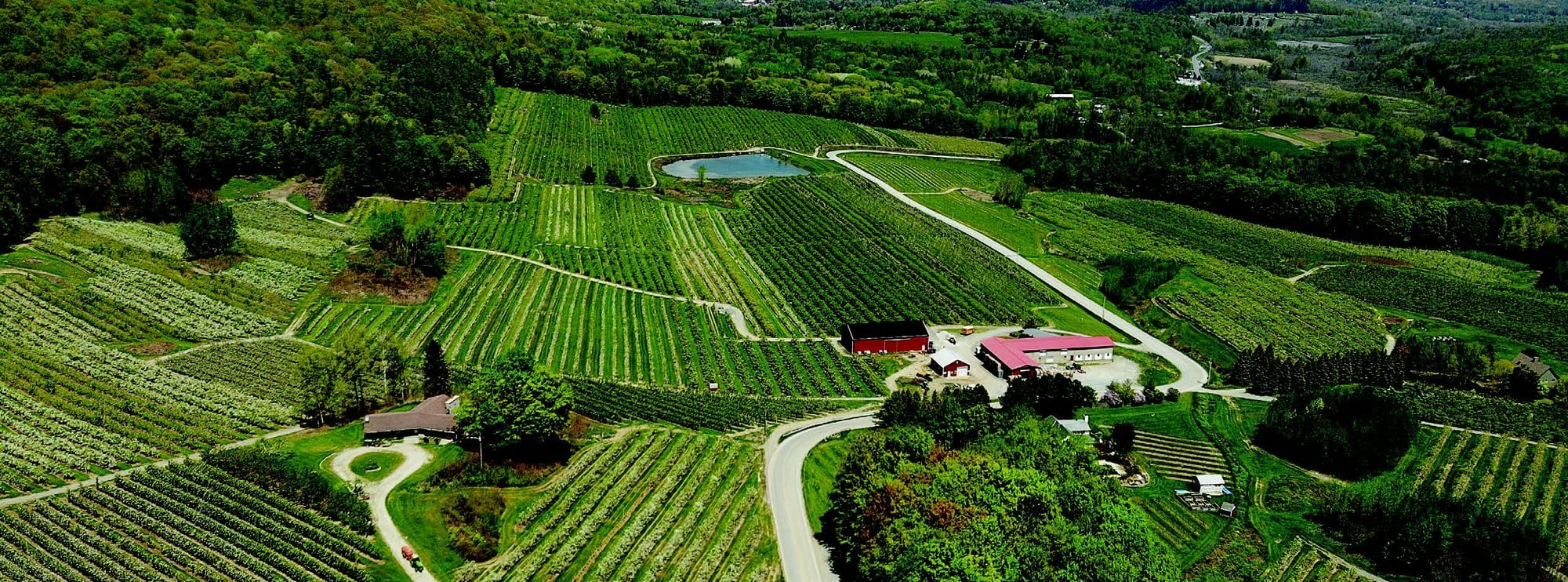 Hudson River Fruit Distributors | Vertically Integrated Apple ...