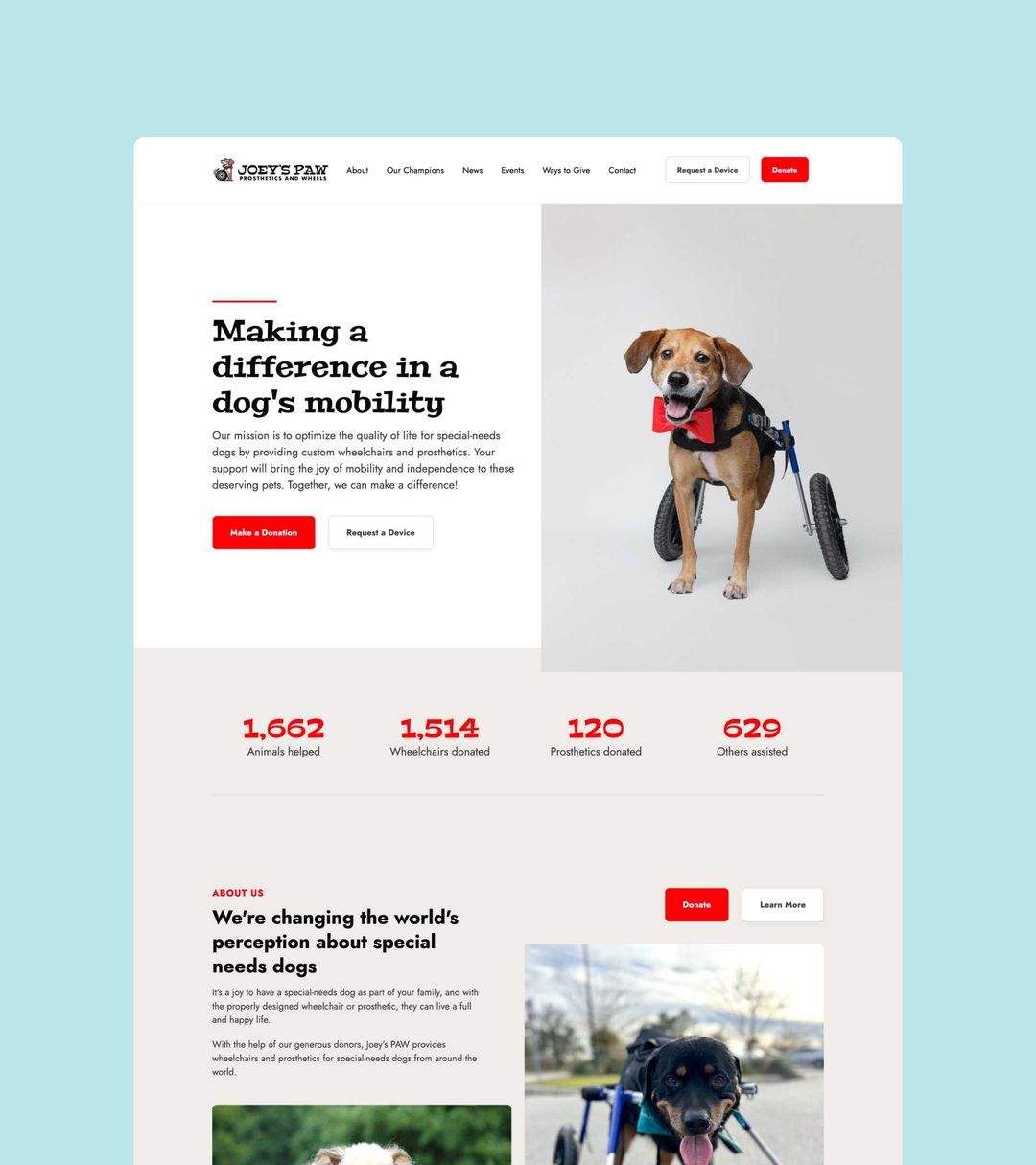 Professional Graphic Designer & Website Design | Tara Hoover Design ...