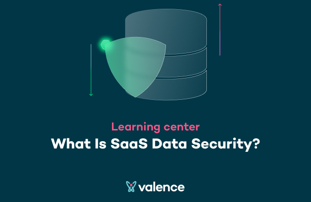 What Is SaaS Data Security?