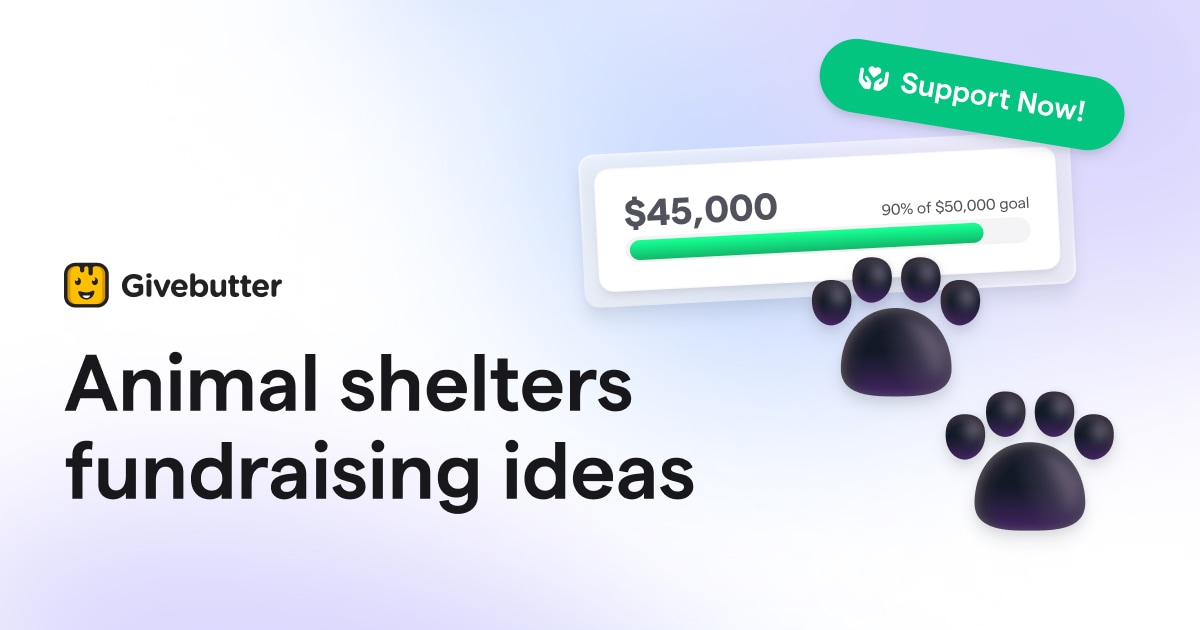30+ Animal Shelter Fundraising Ideas To Fetch Support | Givebutter