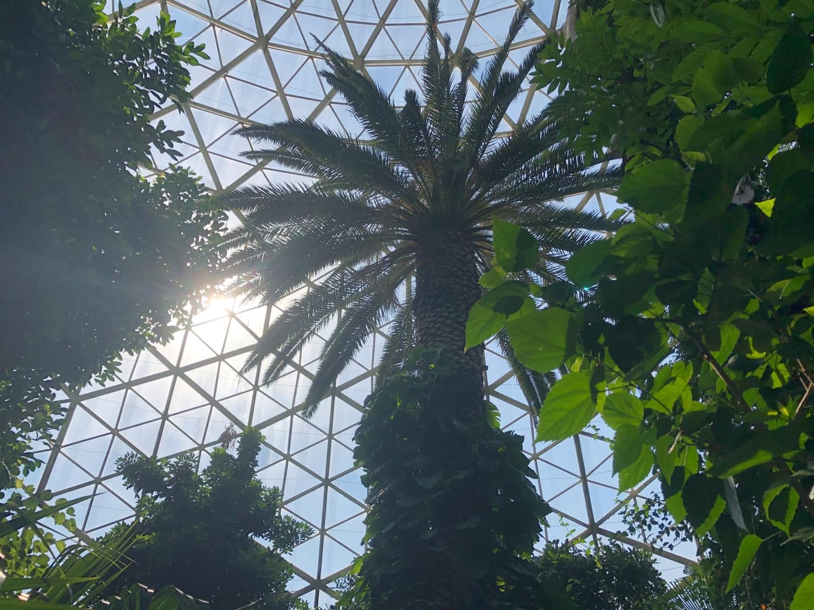 Mitchell Park Domes - Tropical Dome