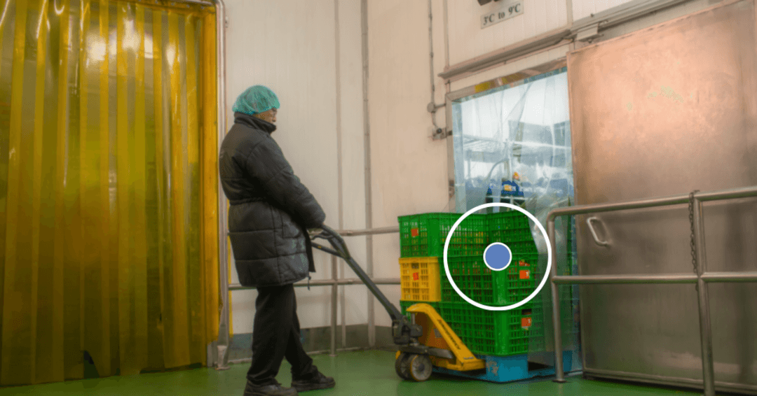 2 Perishable-Shipping Solutions Providing In-Transit Temperature ...