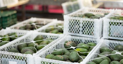 Every Shipment Matters | Tive