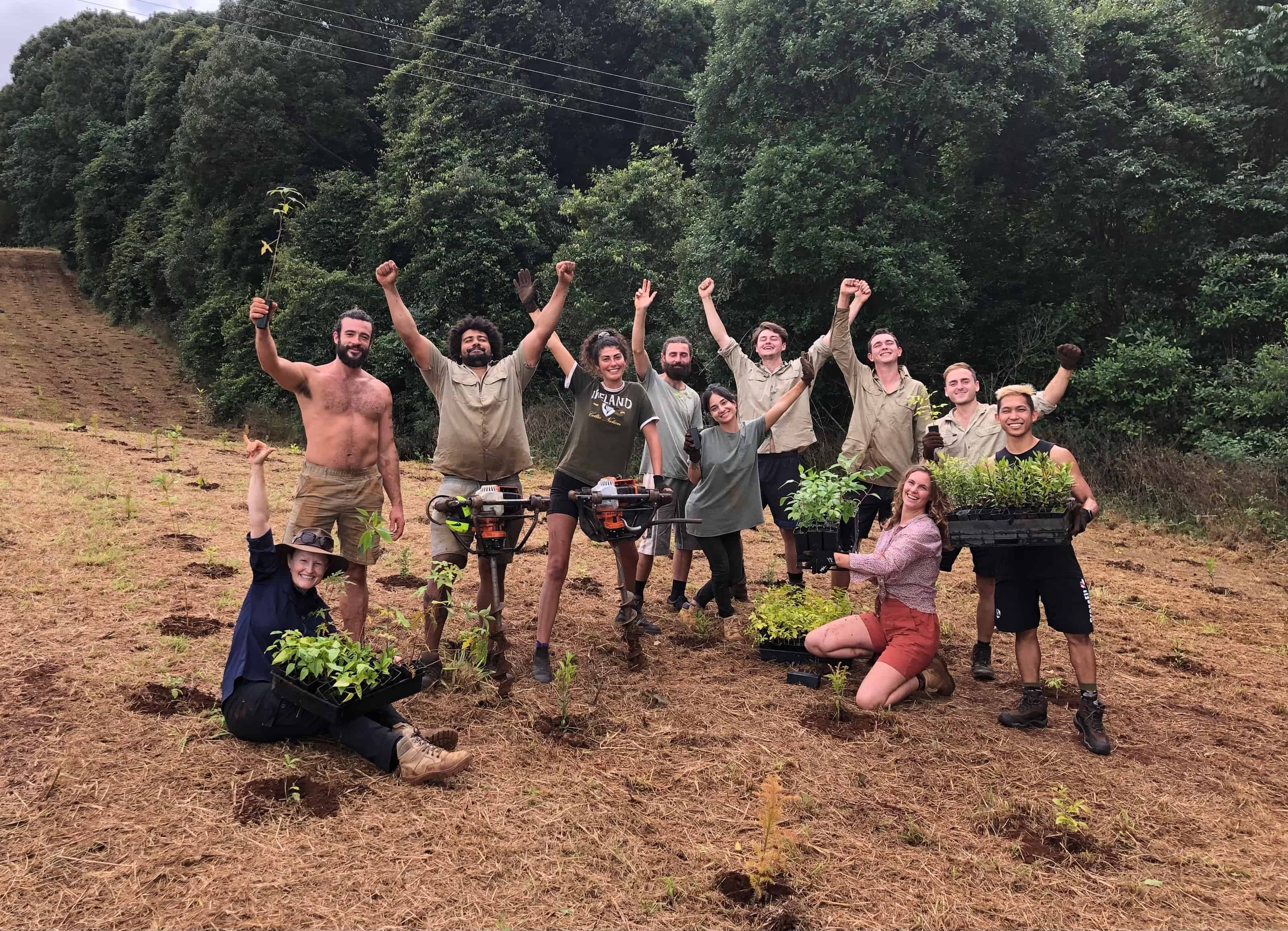 ReviewForest - Gutes tun und mehr Bewertungen erhalten.