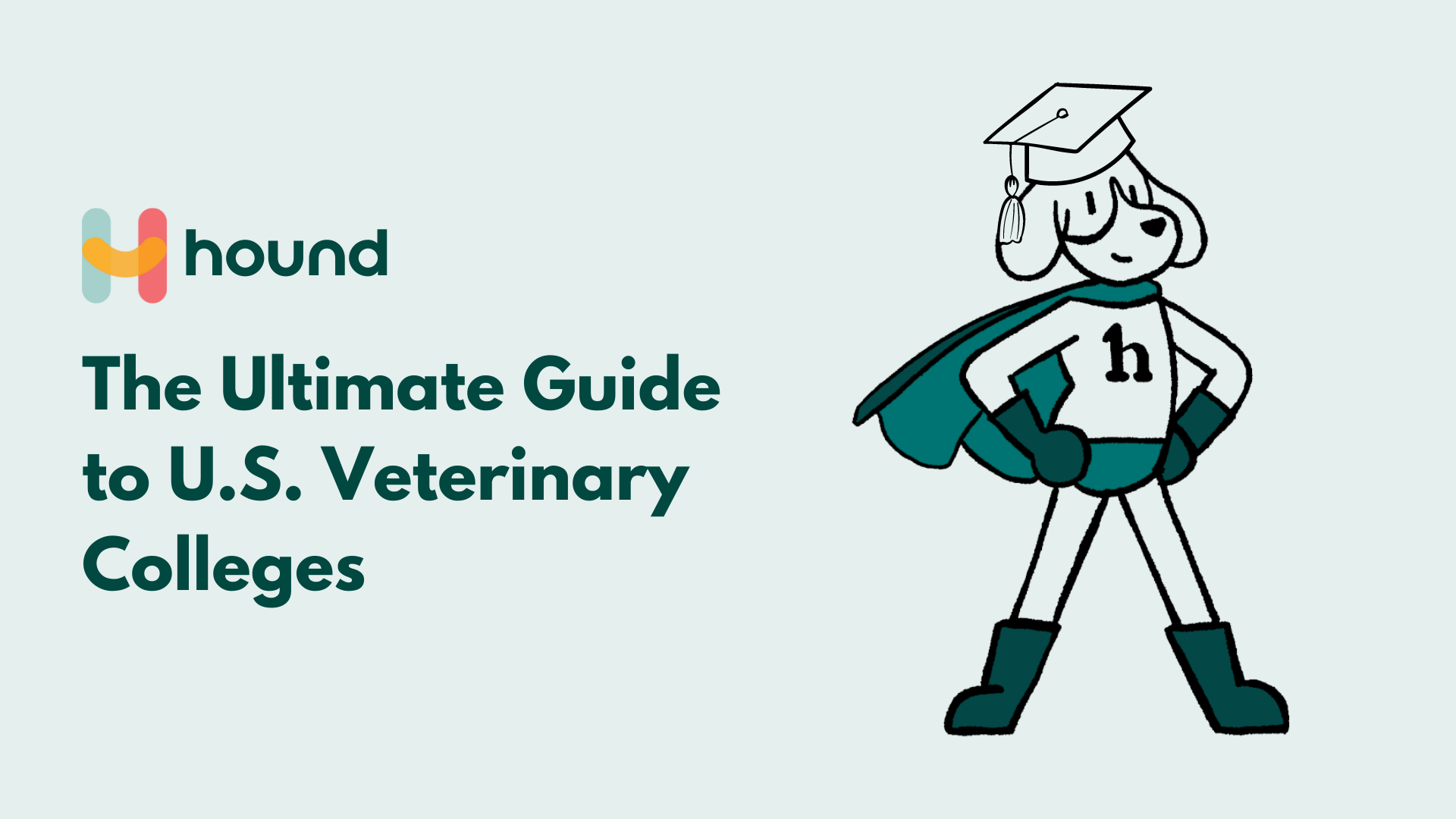 The Ultimate Guide to U.S. Veterinary Schools
