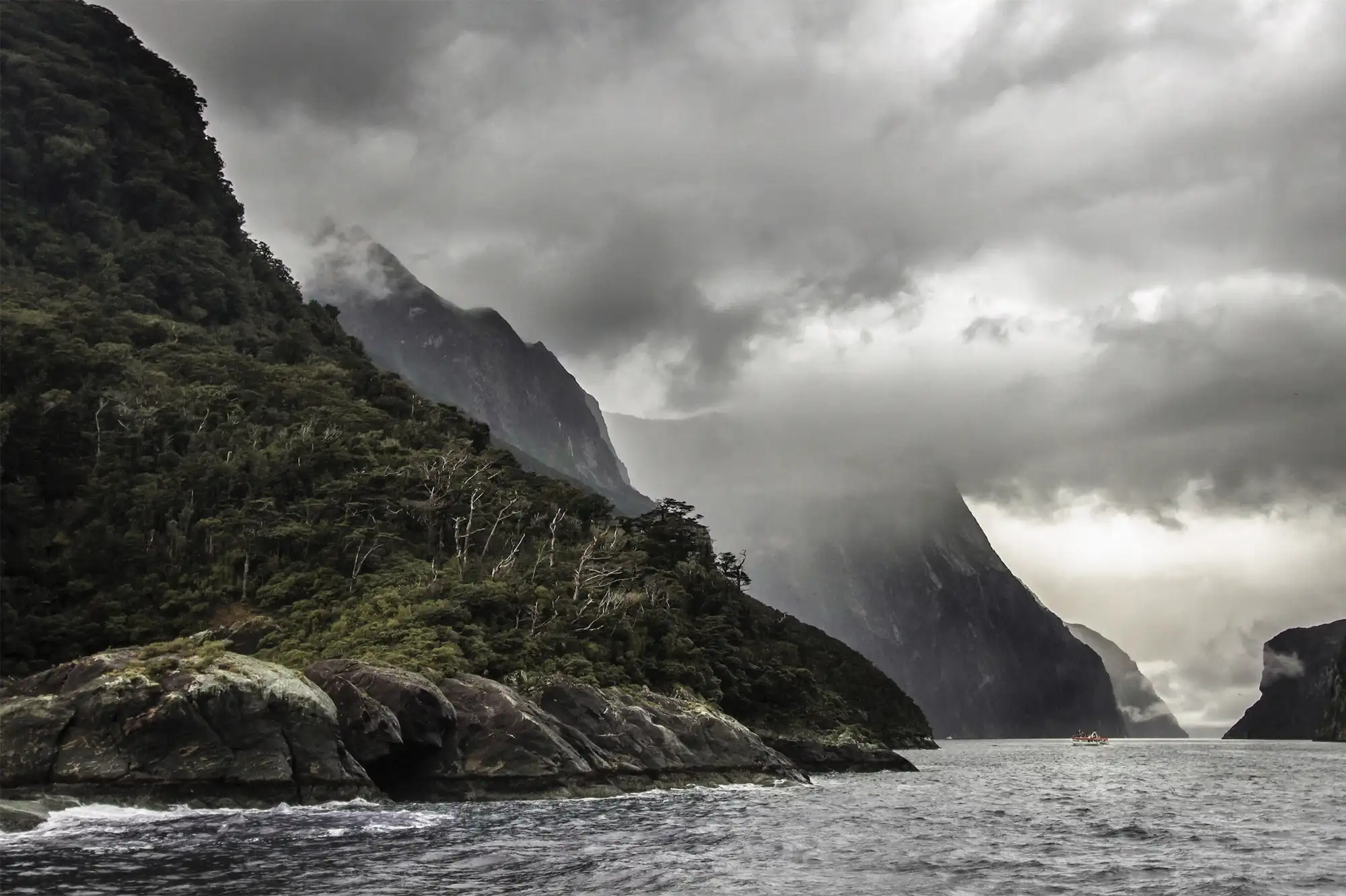 Mana Atua - Beyond the Patch | TV Series | Fantail Studios