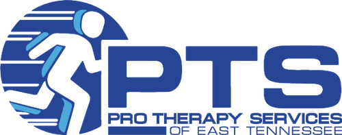 Pro Therapy Services | Home