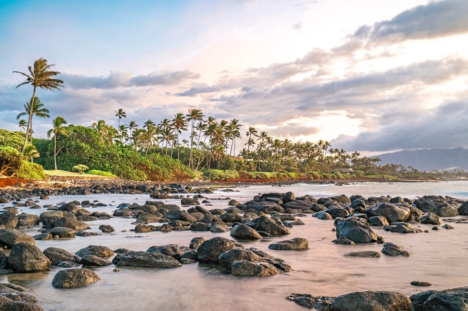 17 Best Warm Winter Destinations in USA for Your Getaway | Infinity ...