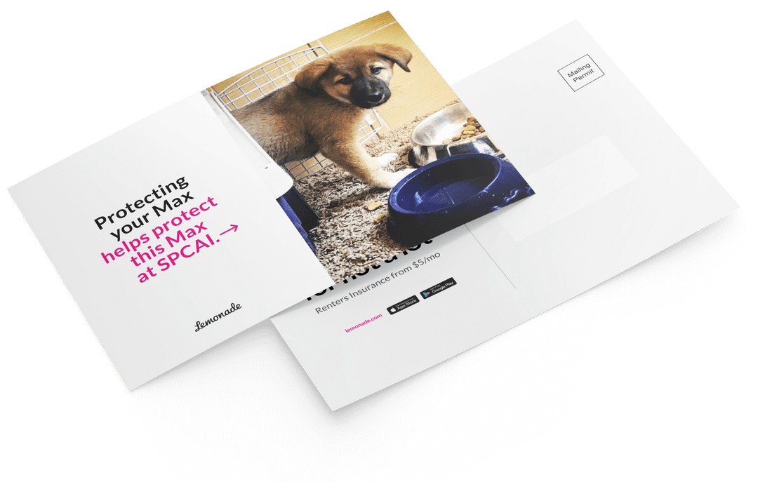 Direct Mail Campaign Solutions | Poplar
