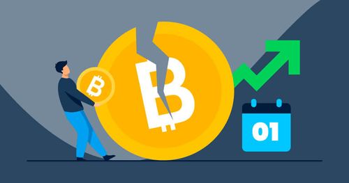 Bitcoin Halving Dates: Investor’s Guide 2025 | CoinLedger