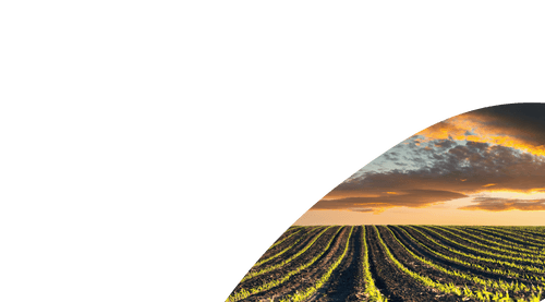 Welcome to Phospholutions l Enhancing Global Phosphorus Use