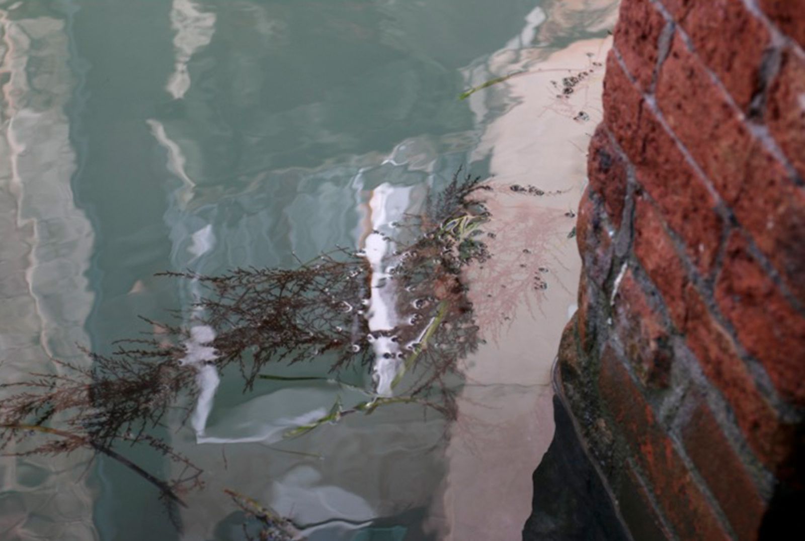 Ellipses Issue [5] Anarcho Aesthetics