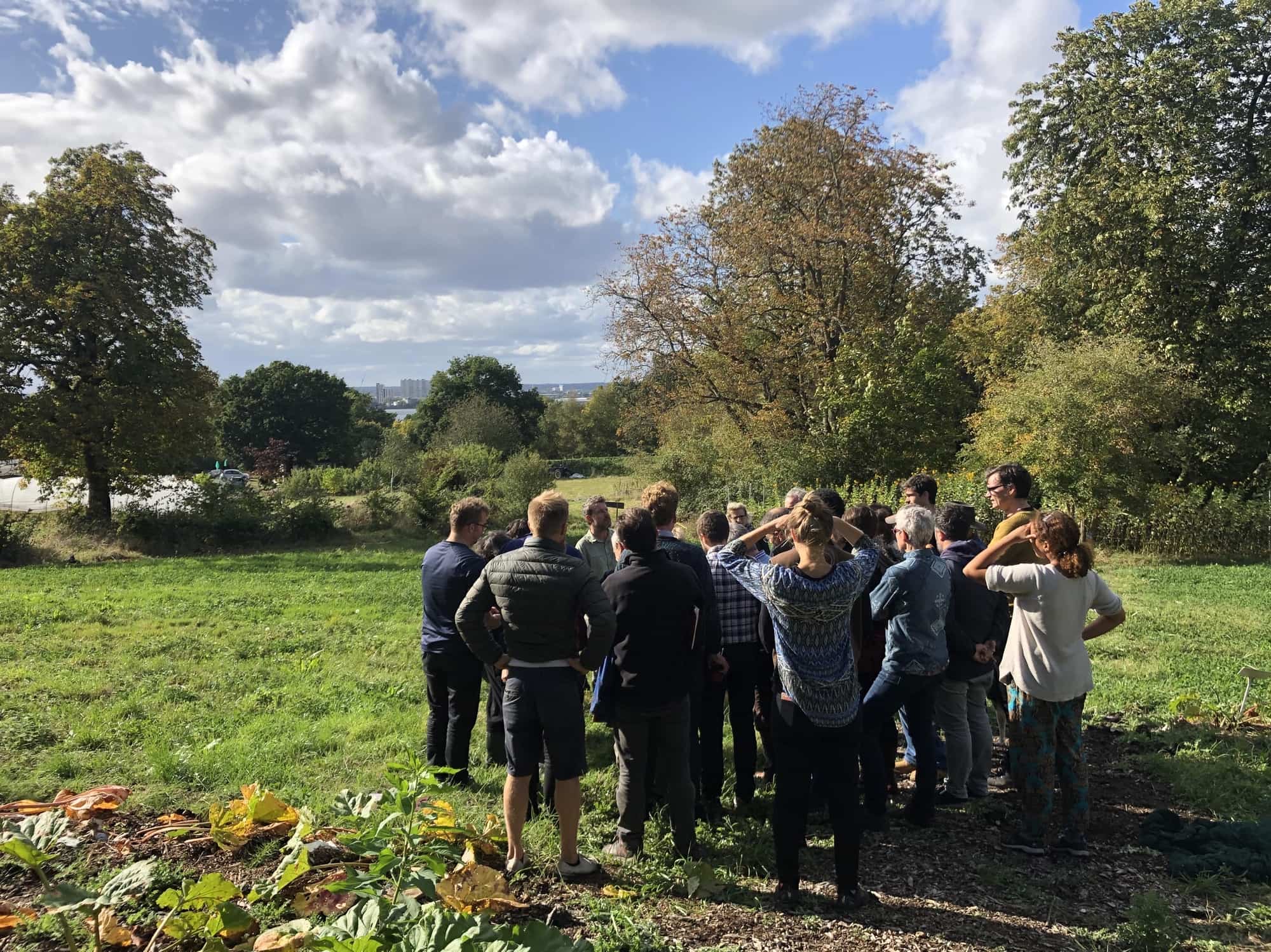 Shared Assets - Home