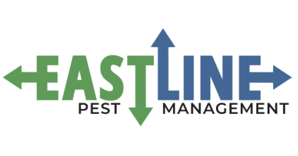 WDIR Inspection Services in New Bern, NC | Wood Destroying Insect Report